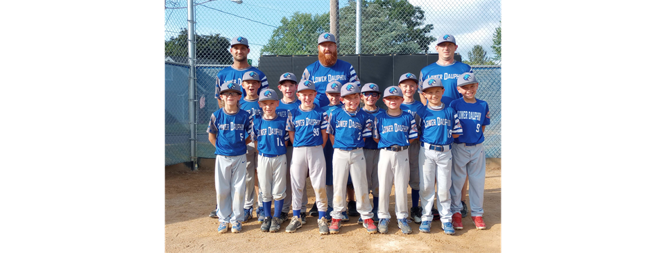 Lower Dauphin Baseball Association > Home