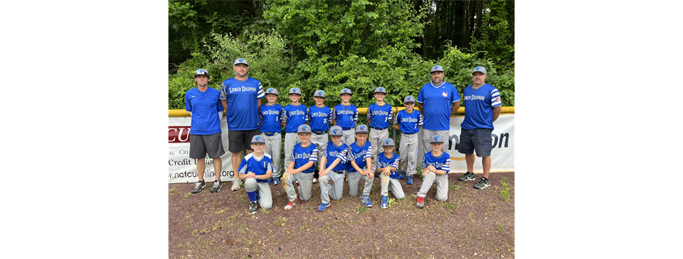 Lower Dauphin Baseball Association > Home
