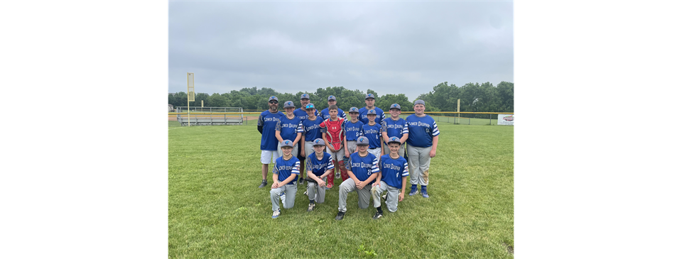 Lower Dauphin Baseball Association > Home