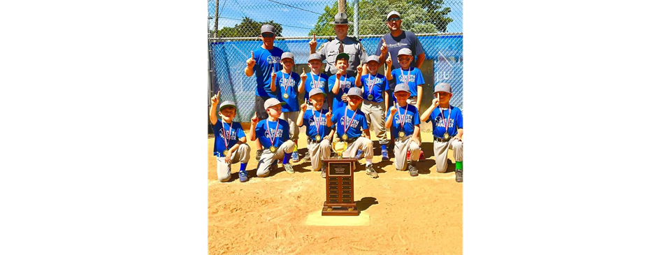 Lower Dauphin Baseball Association > Home